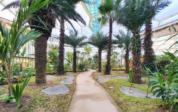 '2TV 저녁 생생정보' 10가지 중식 무한리필, 돼지부속고기 맛집...오늘 맛집은? : zum 뉴스