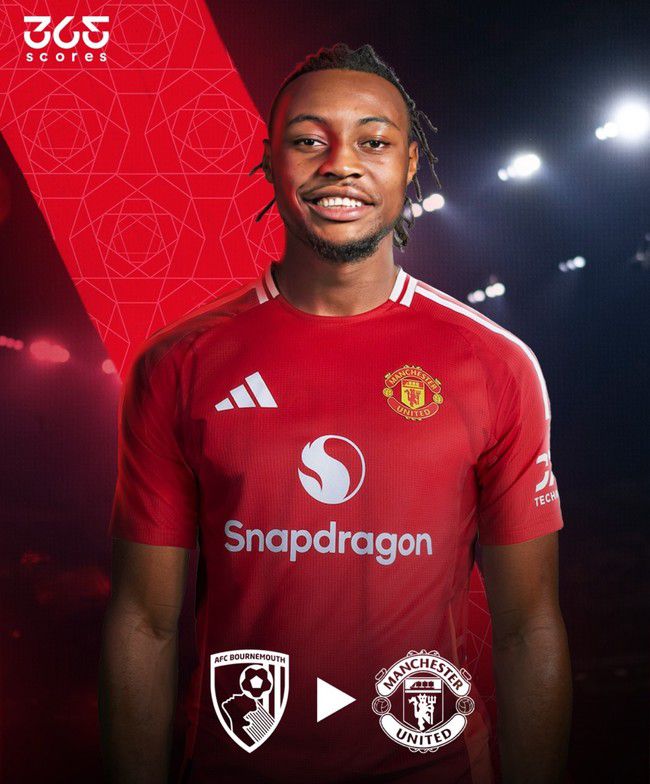 1티어 기자도 확인! 맨유, '손흥민 대체자' FW 영입 계획…"이적료 1,224억" : zum 뉴스