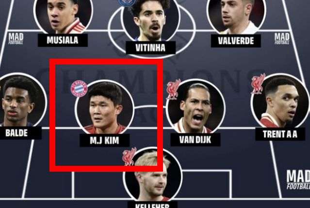 '세계 1위' 김민재 초대박!…UCL 올해의 팀 선정→판 데이크와 동급 '월클 확정' : zum 뉴스