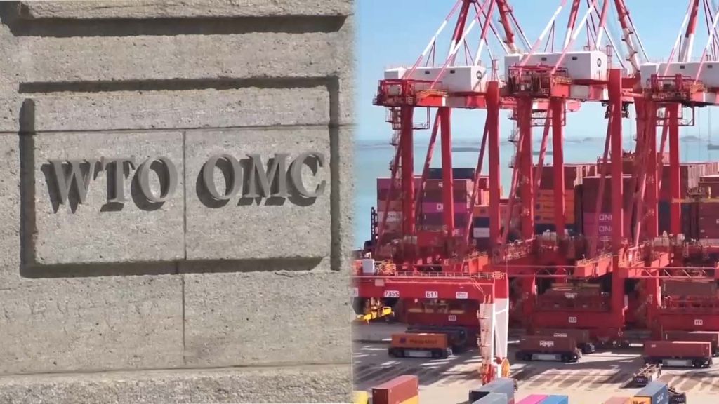 WTO "미중 관세전쟁으로 양국 무역 최대 80% 감소" : ZUM 뉴스