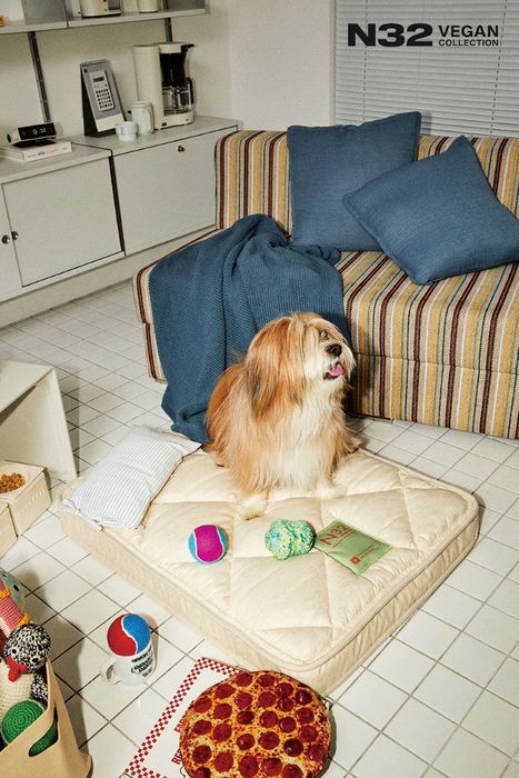 시몬스 N32, 펫 매트리스 출시…국내 최초 '3대 펫 안심인증' 획득 : ZUM 뉴스