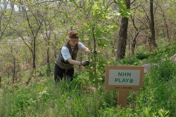 NHN, '플레이숲' 조성 캠페인 실시 : zum 뉴스