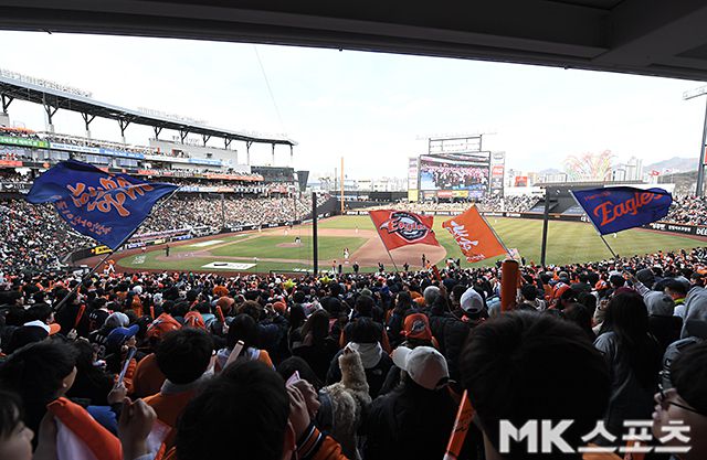 전반기 최초 700만 관중 돌파부터 폰세 18K·로하스 최다 홈런 신기록까지…풍성한 대기록들로 더욱 흥미진진했던 프로야구 전반기 : zum 뉴스