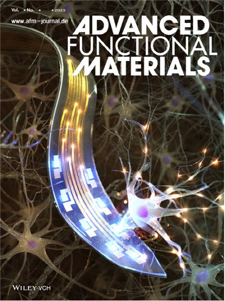 난치성 뇌질환 치료 가능성↑…KAIST, '유연 광자극 기기' 개발 : zum 뉴스
