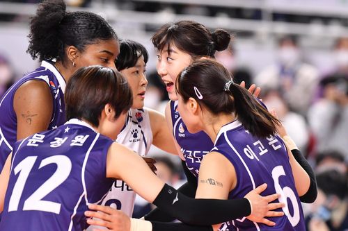 '블로킹 13개' 한국도로공사 2연승…KGC인삼공사 4연패 수렁 : zum 뉴스