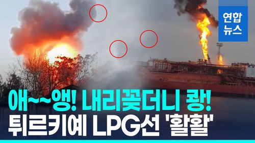 [영상] 우크라 항구 때린 러 자폭드론…튀르키예 LPG 정박선 '활활' : zum 뉴스