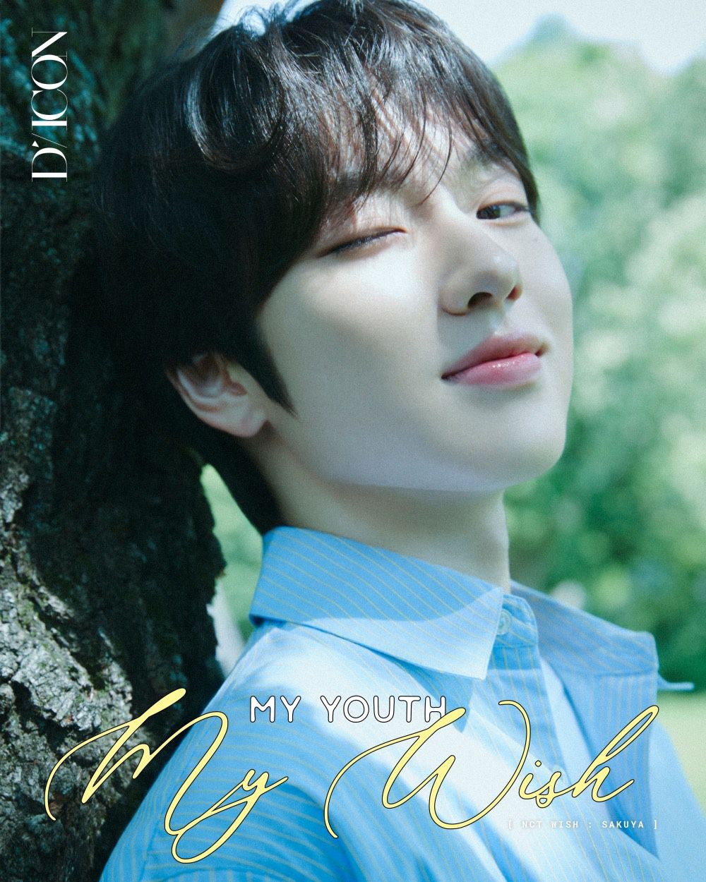 '디아이콘' NCT 위시, 단톡방 TMI..."청량함으로 기억될 봄" : zum 뉴스