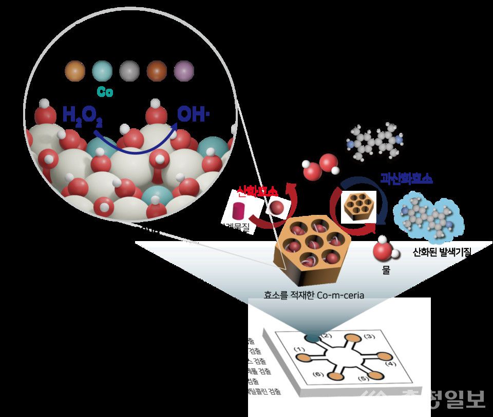 KAIST, 6개 표적물질 동시 검출 질병 물질 검출 종이센서 개발 : zum 뉴스