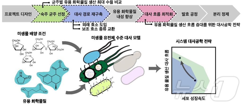 KAIST, 미생물 활용 친환경 화학물질 생산 최적화 기술 개발 : zum 뉴스
