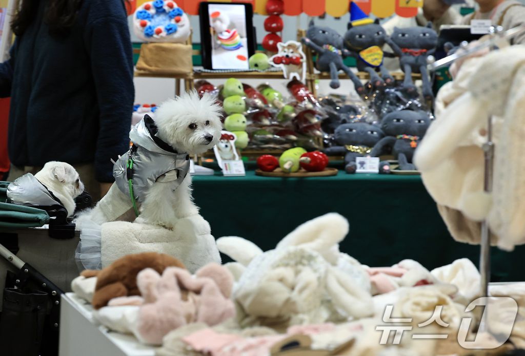 KOTRA, 이탈리아 반려동물용품 전시회서 한국관 첫 운영 : zum 뉴스