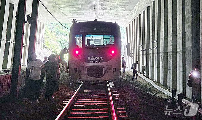 [뉴스1 PICK]출근길 경의선·KTX 중단 '사다리차 전도로 통제' : zum 뉴스