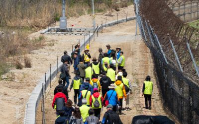 “고성 DMZ 평화의 길 현장 방문 접수”…16일부터 개시 : ZUM 뉴스