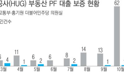 문턱 낮춘다던 ‘HUG PF 보증’…신청 늘었는데 승인 10%도 안 돼 : ZUM 뉴스