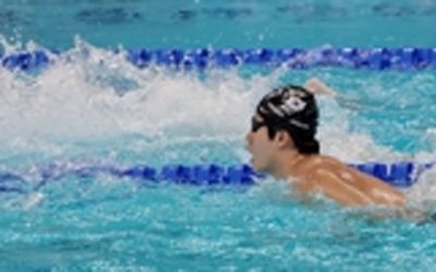 황선우, 자유형 200m 예선에서 포포비치·홉슨·판잔러와 4조 : ZUM 뉴스