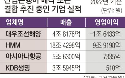 HMM· KDB생명… 산은, 보유 기업 민영화 총력 : ZUM 뉴스