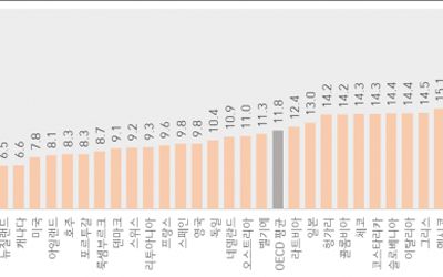 한국, 초미세먼지 농도·자살률 OECD 1위 ‘오명’ : ZUM 뉴스