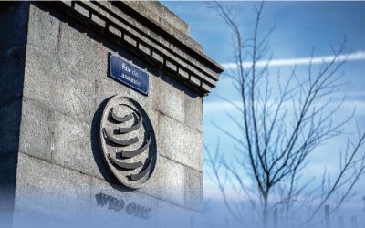 ‘내로남불’ 보조금 전쟁에 식물기구로 전락한 WTO : ZUM 뉴스