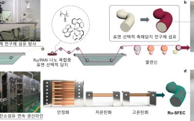 UNIST, 고기능성 촉매 부착 탄소섬유 전극 개발 : ZUM 뉴스
