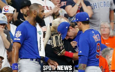 "파울볼 안전대책 마련하라" 美 상원의원도 MLB 압박 : ZUM 뉴스