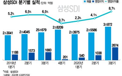 '애도' 속 조용히…사상 최대 매출 올린 삼성SDI : ZUM 뉴스