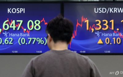 "밸류업 실망" 저PBR주 무섭게 뚝뚝…이 와중에 오른 종목들 : ZUM 뉴스