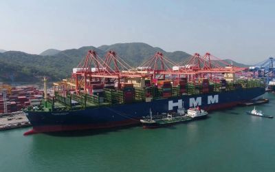 HMM, 영업익 2.6조원… 전년比 14.5% 증가 : ZUM 뉴스