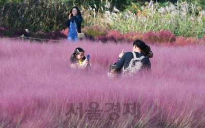 '가을가을 하다' : ZUM 뉴스