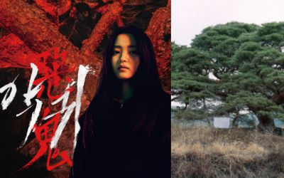 드라마 '악귀' 속 '덕달이 나무' 알고보니···'이곳' 천연기념물 : ZUM 뉴스