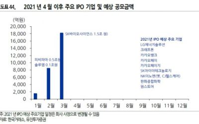 대어급 IPO 이어진다…SKIET·크래프톤 등판 : ZUM 뉴스