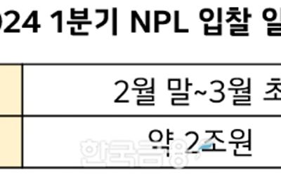 "은행 부실채권 쏟아지네"…1분기만 2조원 큰 장 열린다 [NPL 호황기] : ZUM 뉴스