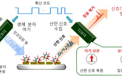 KAIST, 초고감도 생체 분자 검출용 디지털 라만 분광 기술 개발 : ZUM 뉴스