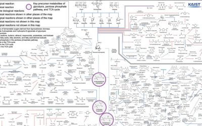 KAIST, 상호작용 가능한 바이오 기반 화학물질 합성지도 완성 : ZUM 뉴스