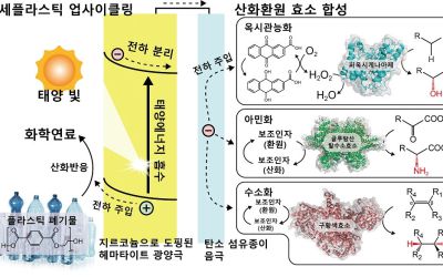미세 플라스틱을 고부가 화학연료로...KAIST 업사이클링 기술 구현 : ZUM 뉴스