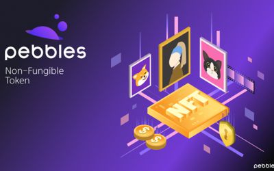 팬트리, ‘암호화폐 없이 NFT 컨텐츠 구매’ 실험 : ZUM 뉴스