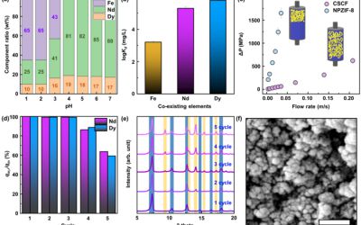KIST, 희토류 고효율 회수 소재 기술 개발…해외 의존 저감 기대 : ZUM 뉴스