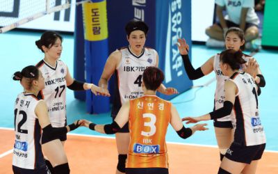 IBK기업은행배 2022 화성시 전국 생활체육 배구대회 개막 : ZUM 뉴스