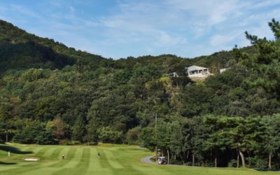 "큐로CC 어느 품으로" 매각 변수로 떠오른 대광건영 : ZUM 뉴스