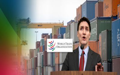 캐나다 "美 WTO에 제소"…"EU도 곧 관세" : ZUM 뉴스