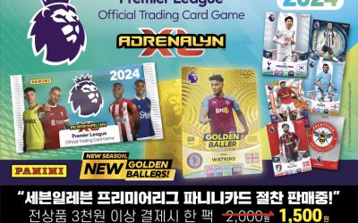 세븐일레븐, 손흥민·홀란드 등 ‘EPL 파니니카드’ 판다 : ZUM 뉴스