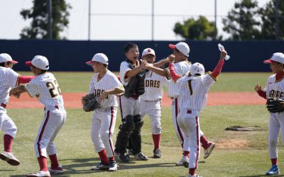 'MLB 주최' 유소년 야구 대회 MLB컵, 성황리에 폐막 : ZUM 뉴스