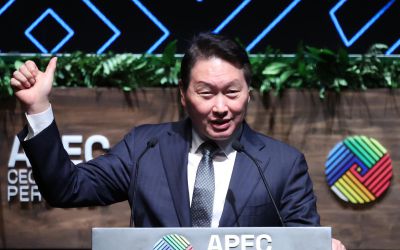 ‘APEC CEO 서밋’ 의장된 최태원 회장 "내년 주제는 b·b·b" : ZUM 뉴스