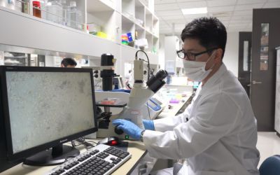 셀트리온 "CDMO로 제2의 도약" : ZUM 뉴스