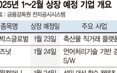 '6조 몸값' LG CNS 온다… '공모주 월척' 잡아볼까 : ZUM 뉴스