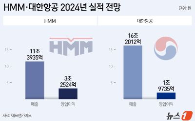 하늘·바닷길 화물 운임 천정부지... 대한항공·HMM 웃었다 : ZUM 뉴스
