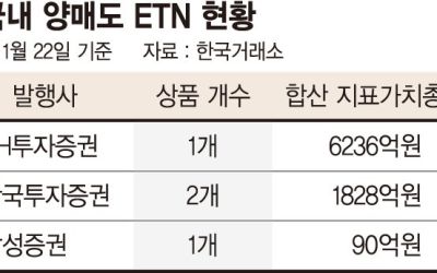 잘 나갔던 양매도 ETN, 성과 부진에 쇠락의 길 : ZUM 뉴스