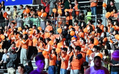 데이원과 KBL의 무능함에 팬들 열받았다…6월 2일부터 3일간 KBL 센터 앞 트럭 시위 예고 : ZUM 뉴스