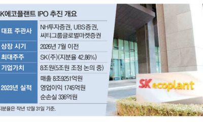'초대어' SK에코플랜트 몸값 낮춰 IPO 속도 : ZUM 뉴스