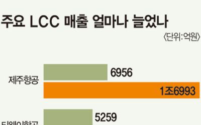 대한항공-아시아나 합병 후폭풍···‘LCC 메기’ 출현에 바빠진 제주·티웨이 : ZUM 뉴스