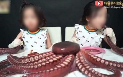6살 쌍둥이에게 '10kg 대왕문어' 먹방 시킨 국내 유튜버 : ZUM 뉴스