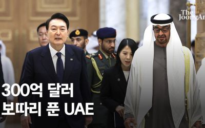 오일머니에 원전·방산까지…韓-UAE 정상회담서 MOU 13건 체결 : ZUM 뉴스